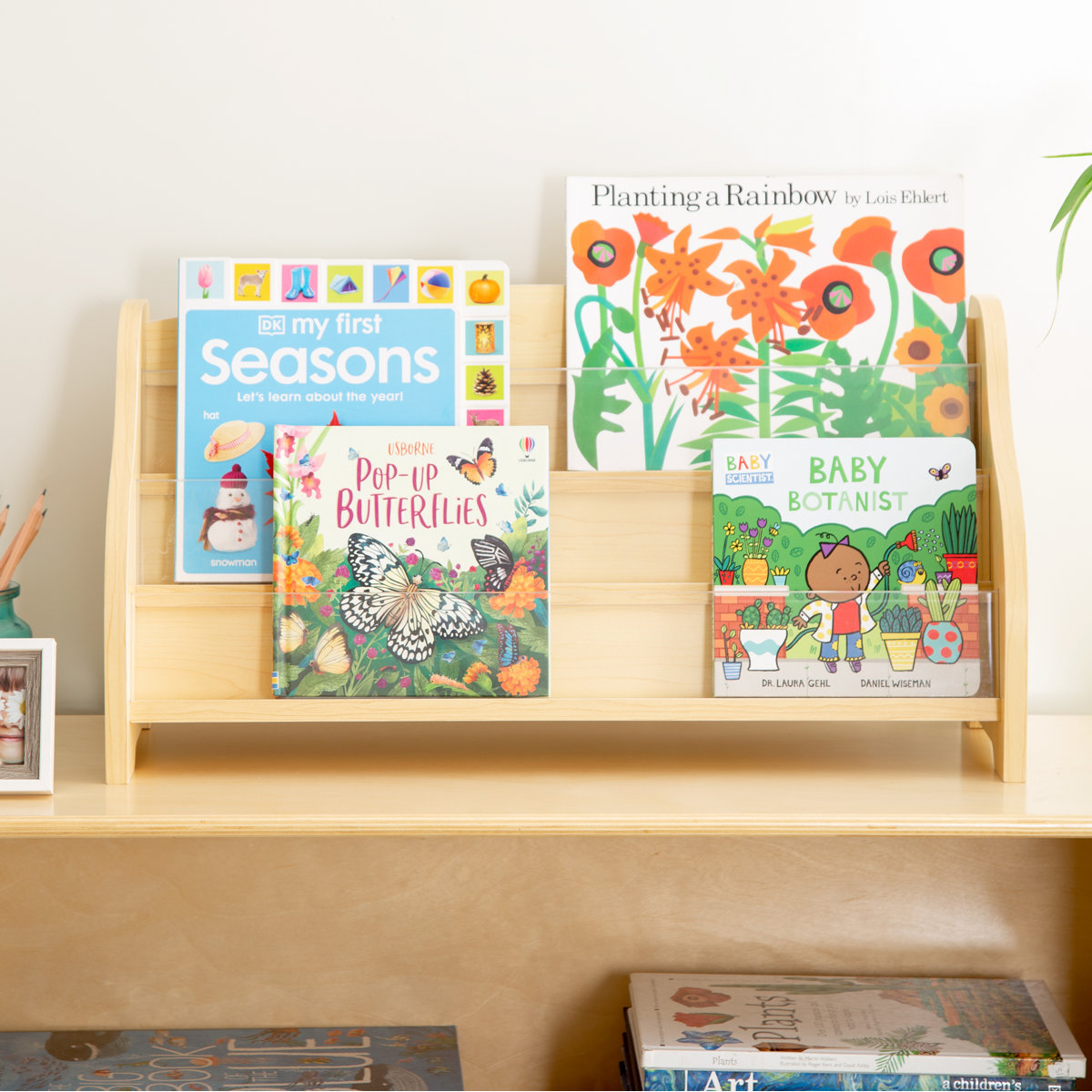 Guidecraft Book Display for Tabletop or Floor & Reviews | Wayfair